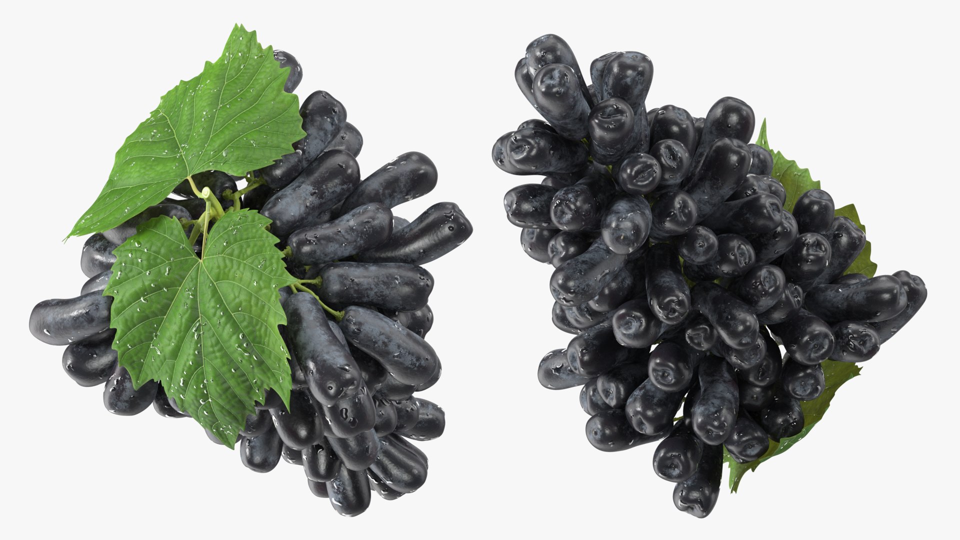 3D Sweet Sapphire Grapes Wet With Leaf Model - TurboSquid 2201983
