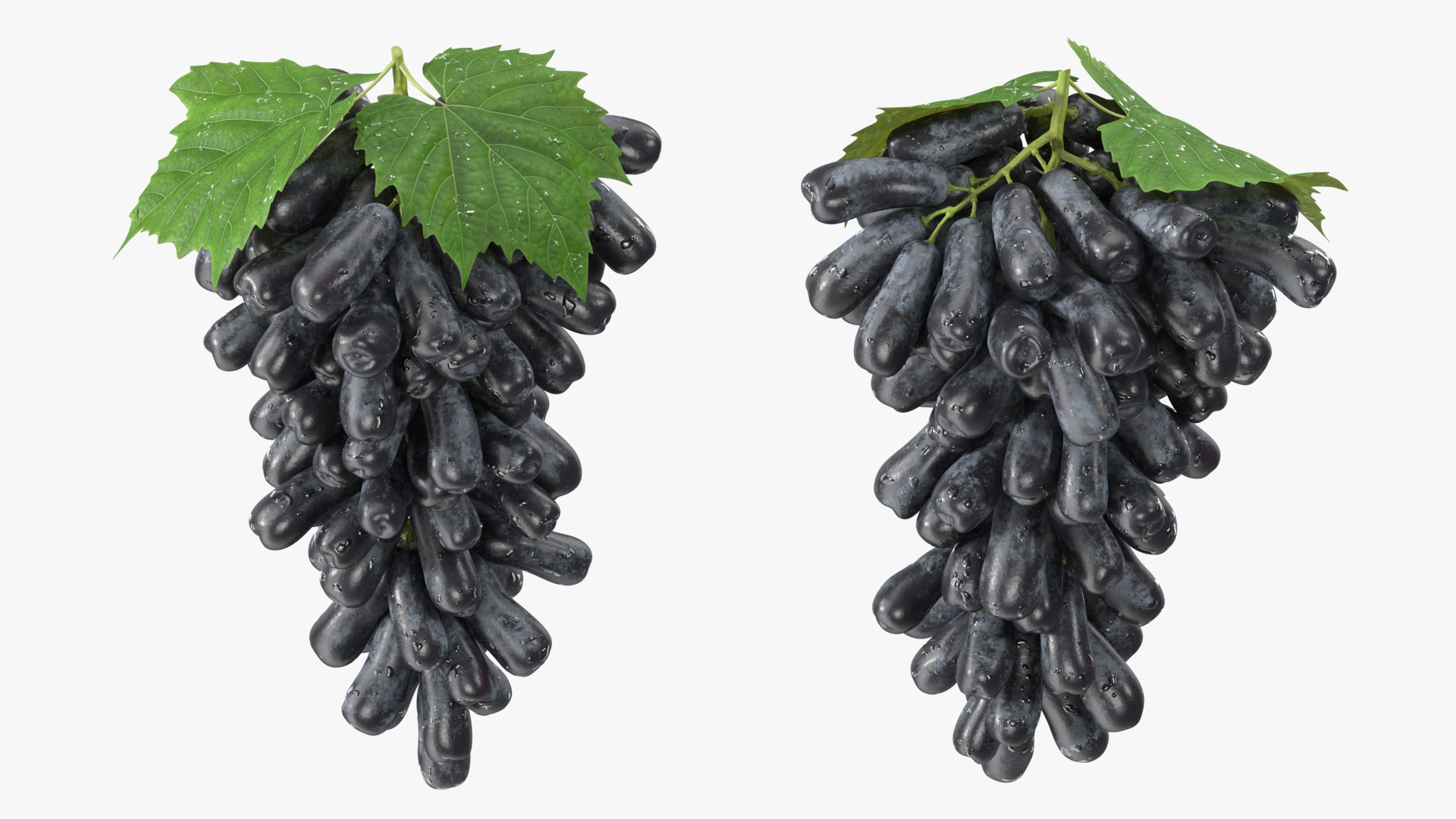 3D Sweet Sapphire Grapes Wet With Leaf Model - TurboSquid 2201983