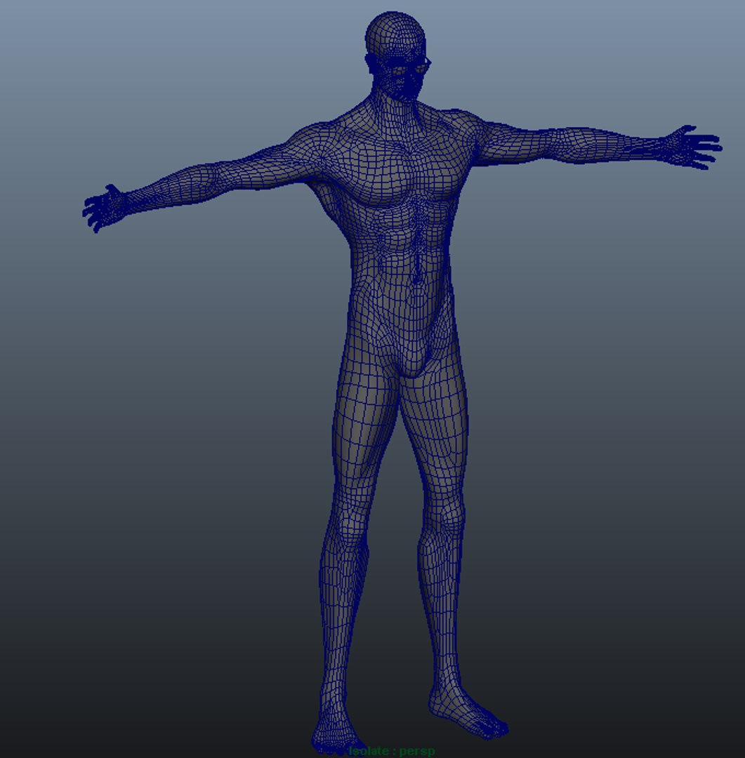 3d Male Guy Man