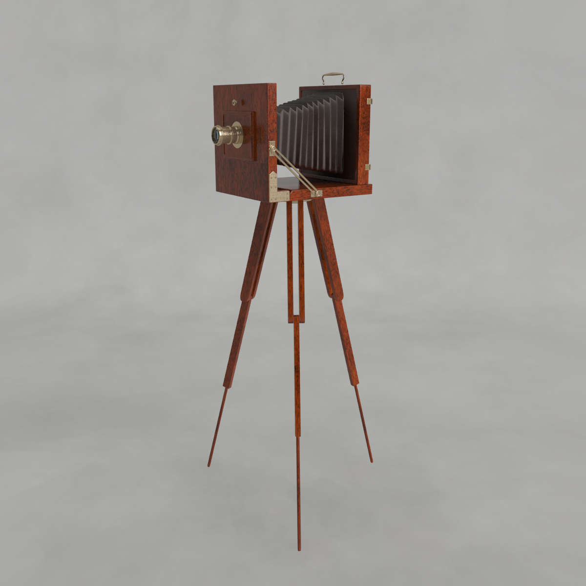 max 19th century camera