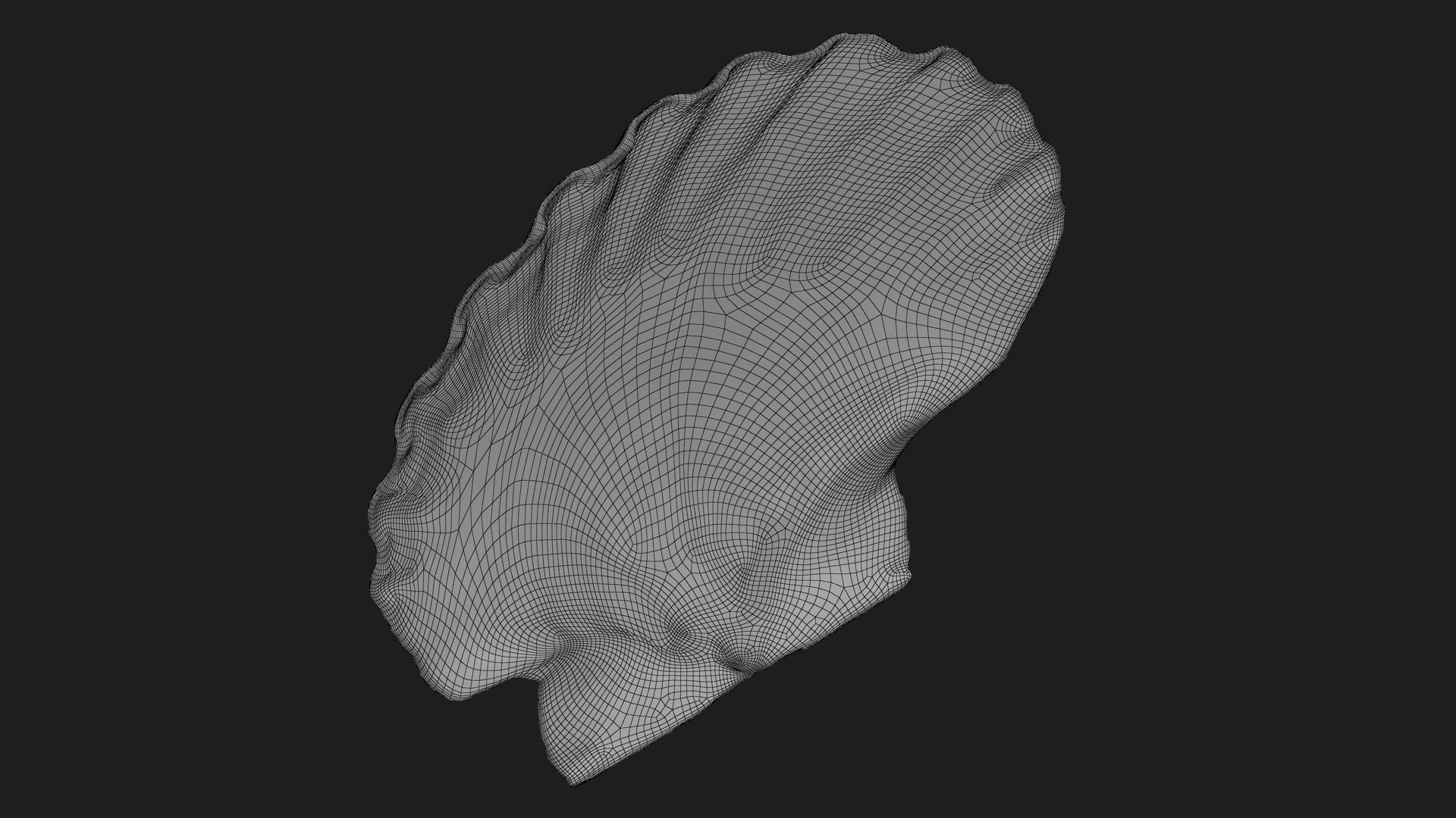 Clam Shell Collection 3D - TurboSquid 2279936