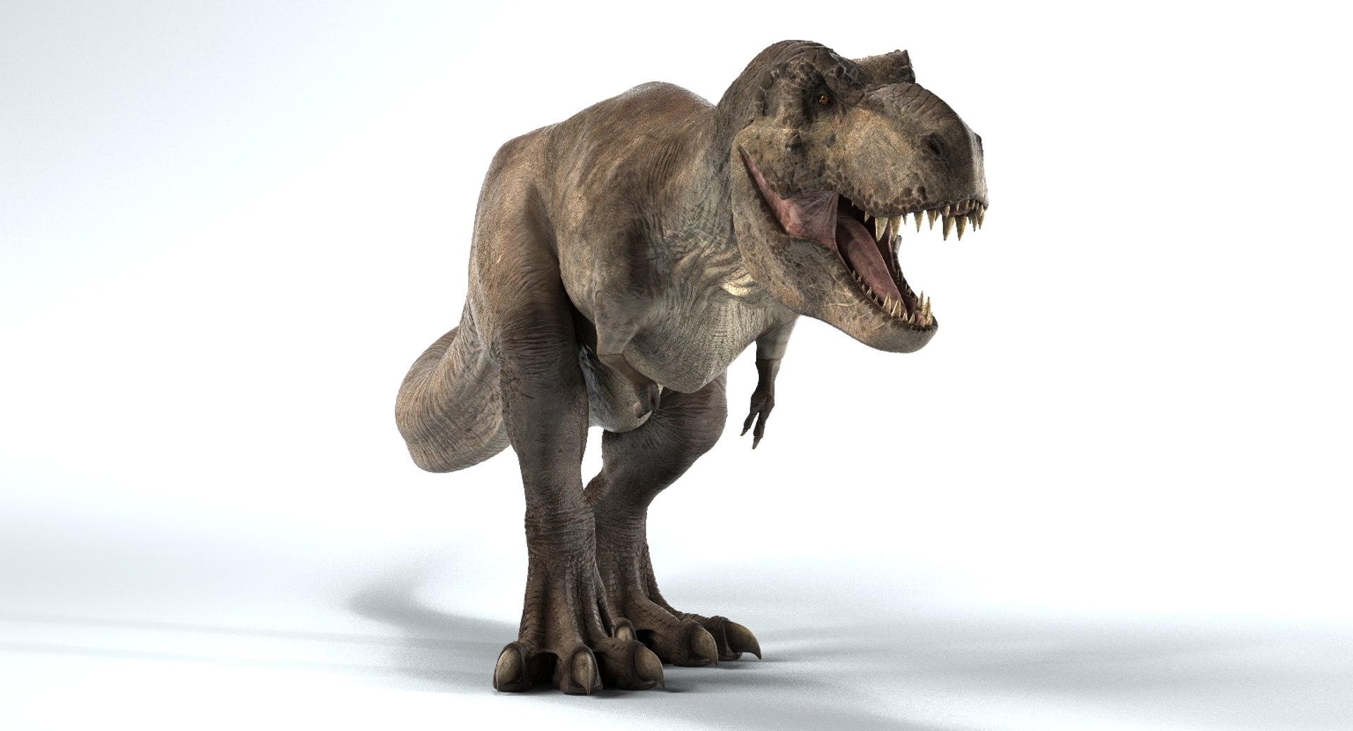 3D T-rex Rigged Tyrannosaurus Rex Model - TurboSquid 1154016 3D T-rex Rigged Tyrannosaurus Rex Model - TurboSquid 1154016