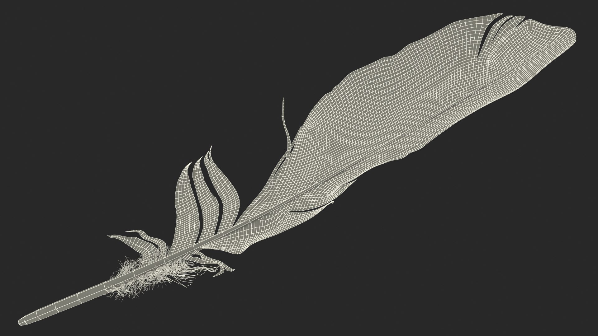 Eagle Feather 3D model - TurboSquid 2164143