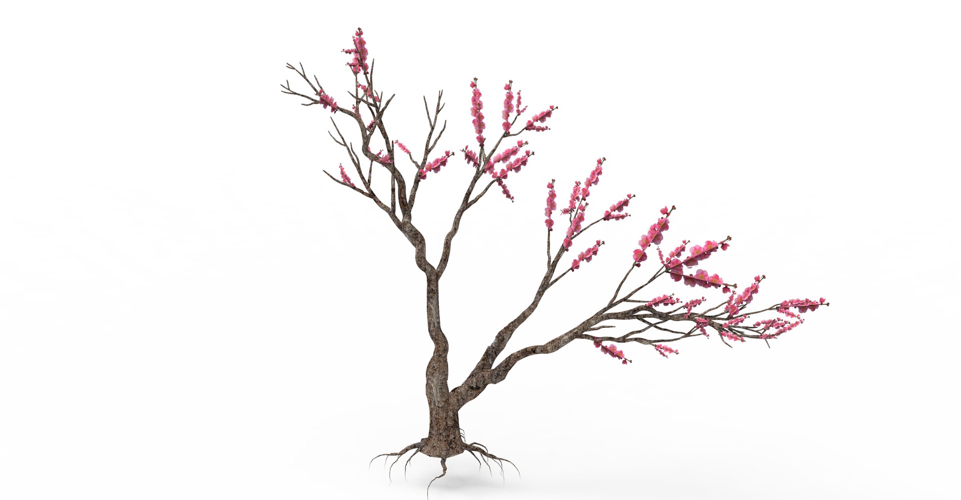 3D Peach Tree 3d Model - TurboSquid 1855861