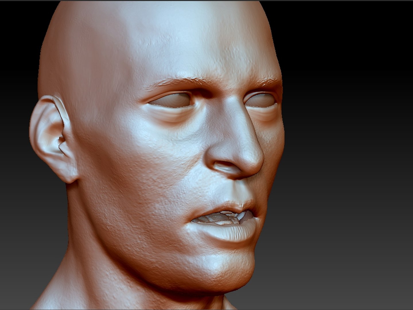 Male Head 3d Model