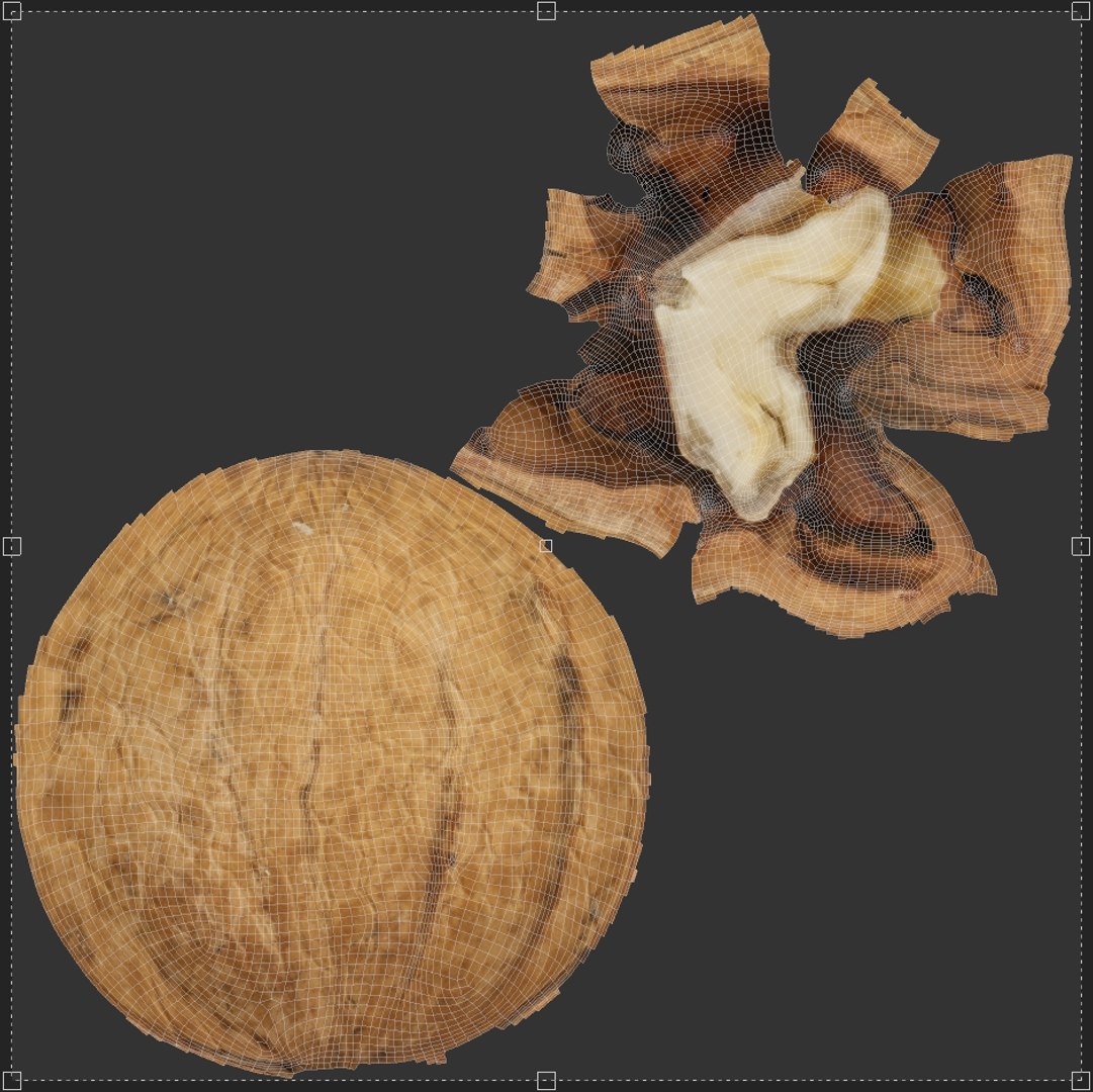 Walnut Half 3D Model - TurboSquid 1976558