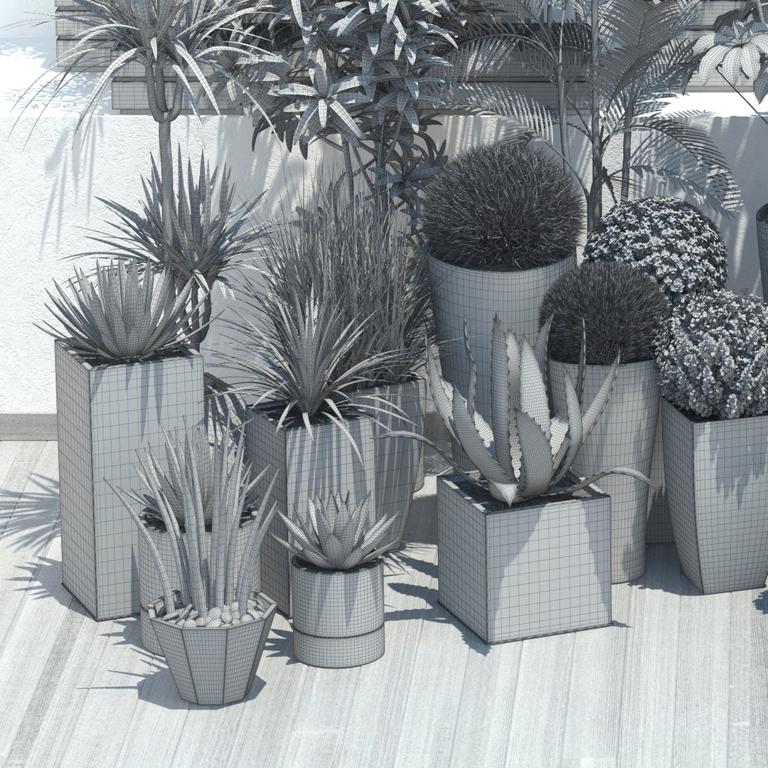 3d Plants