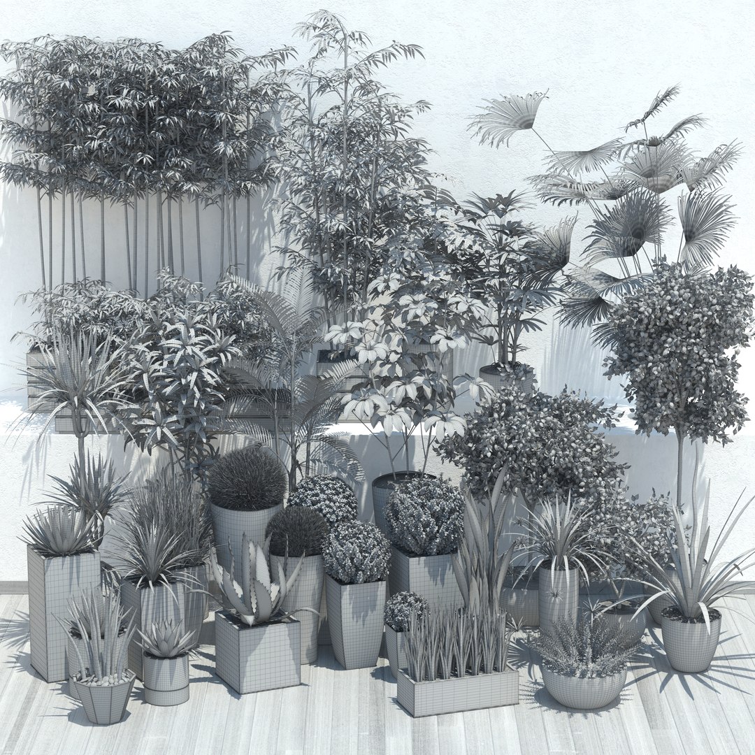 3d Plants