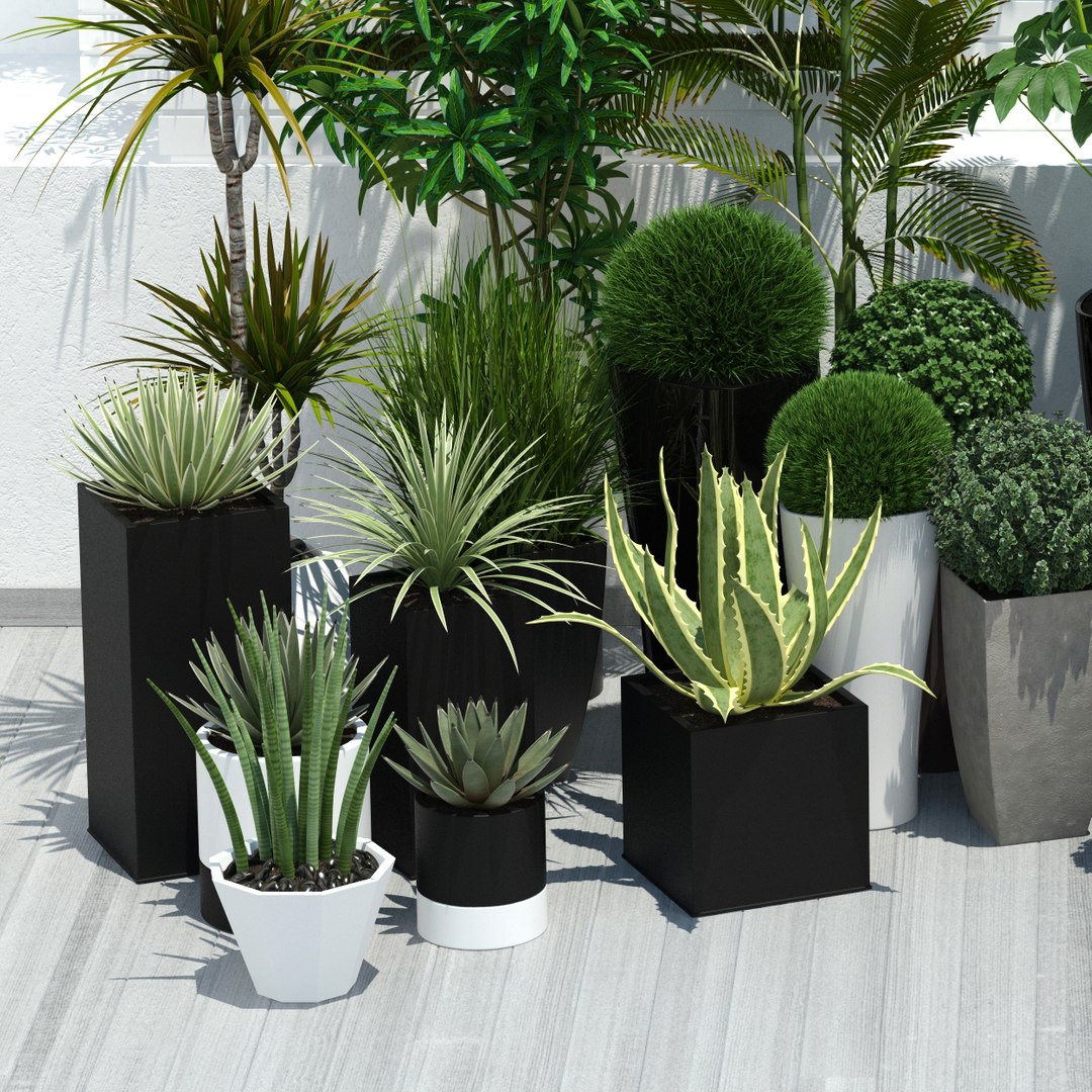 3d Plants