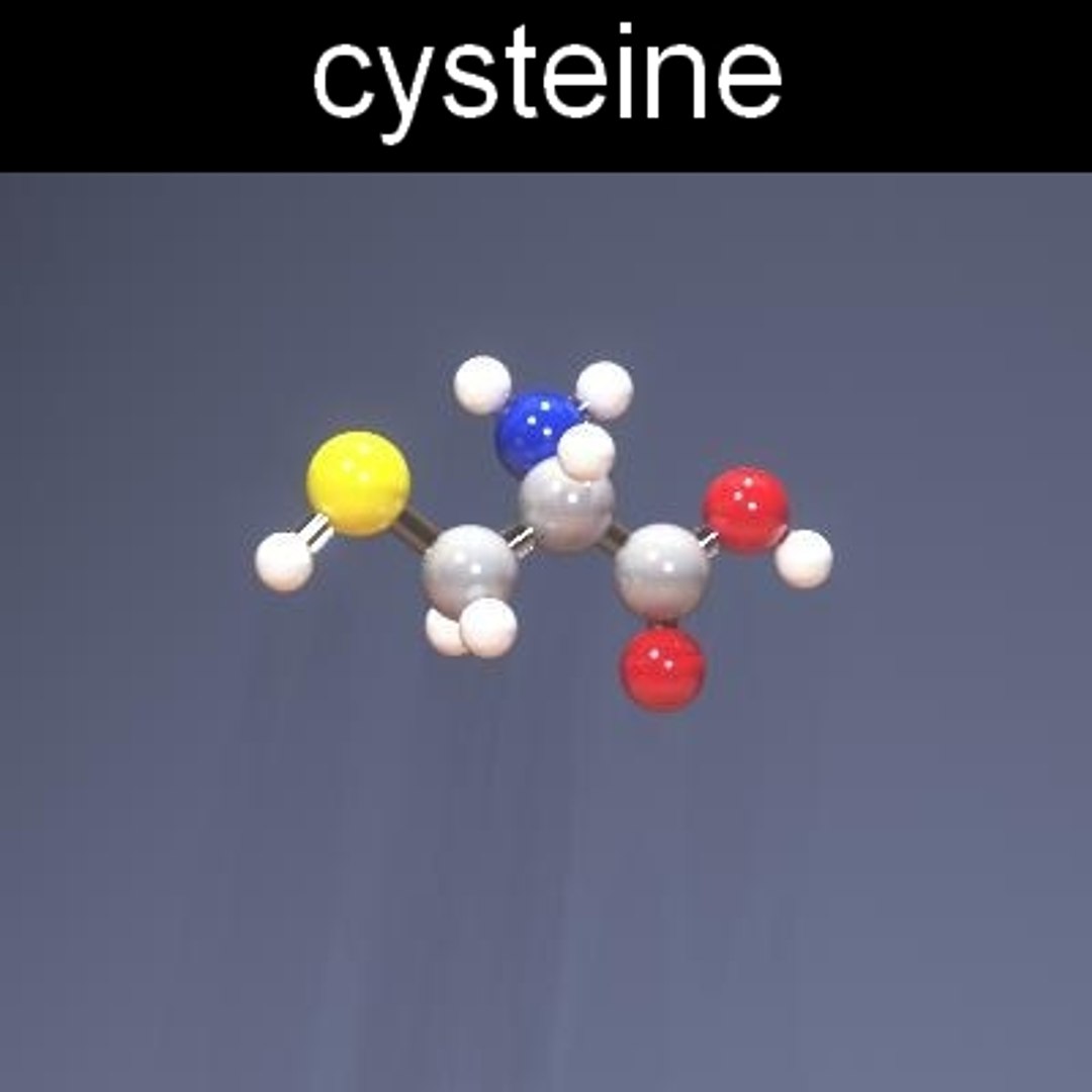 Molecule Cysteine 3d Model