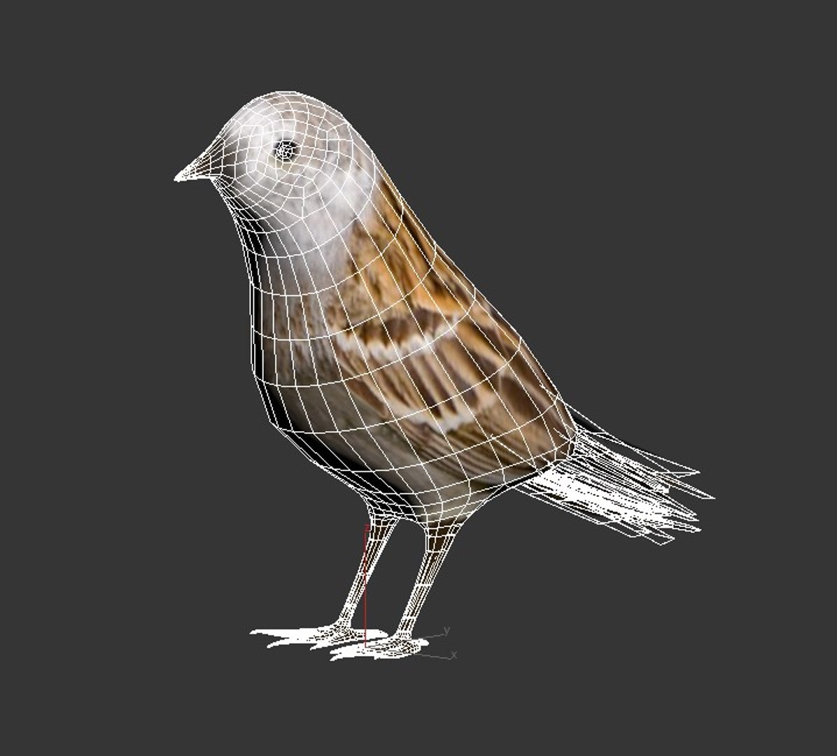 Sparrow Bird Animal 3D Model - TurboSquid 1507230