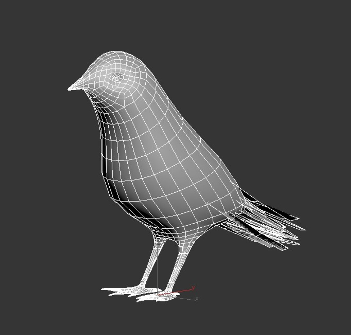 Sparrow Bird Animal 3D Model - TurboSquid 1507230