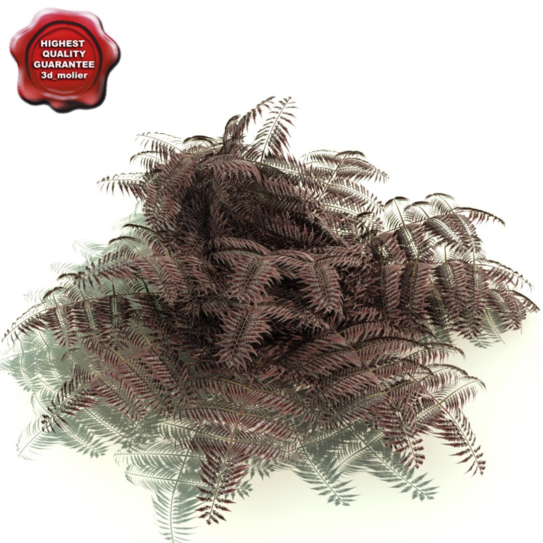 3ds max ferns grasses