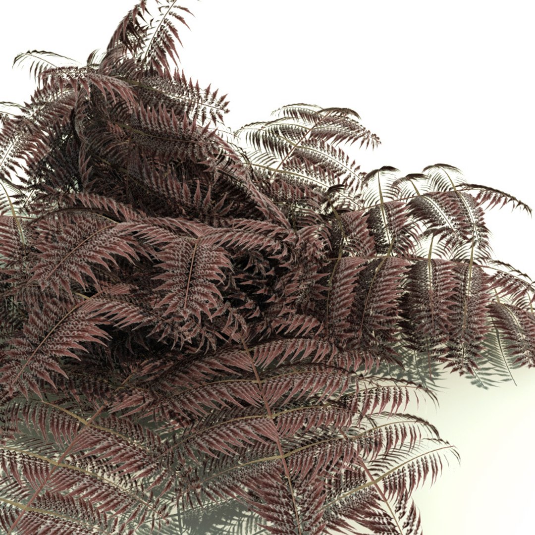 3ds max ferns grasses
