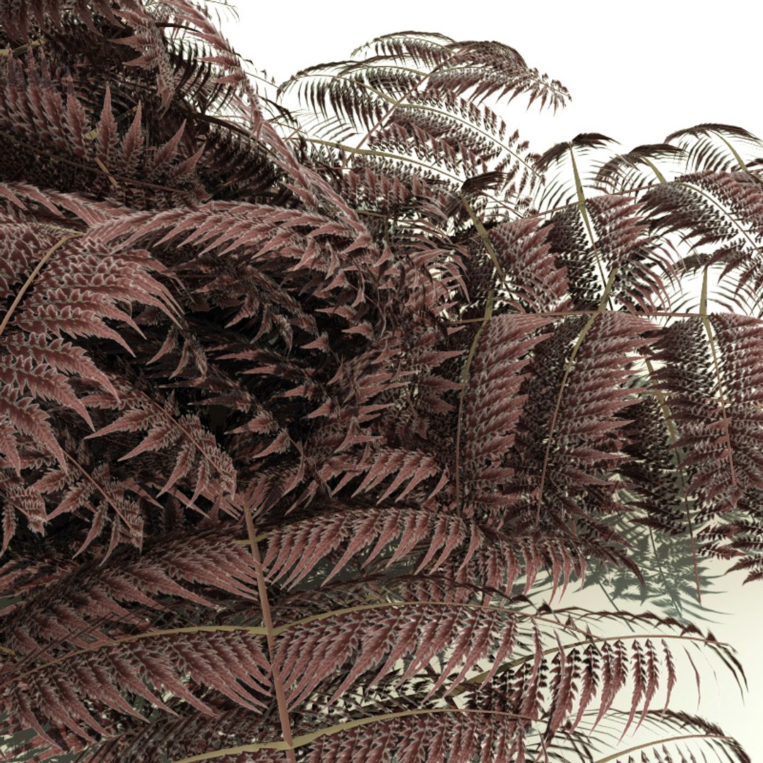 3ds max ferns grasses