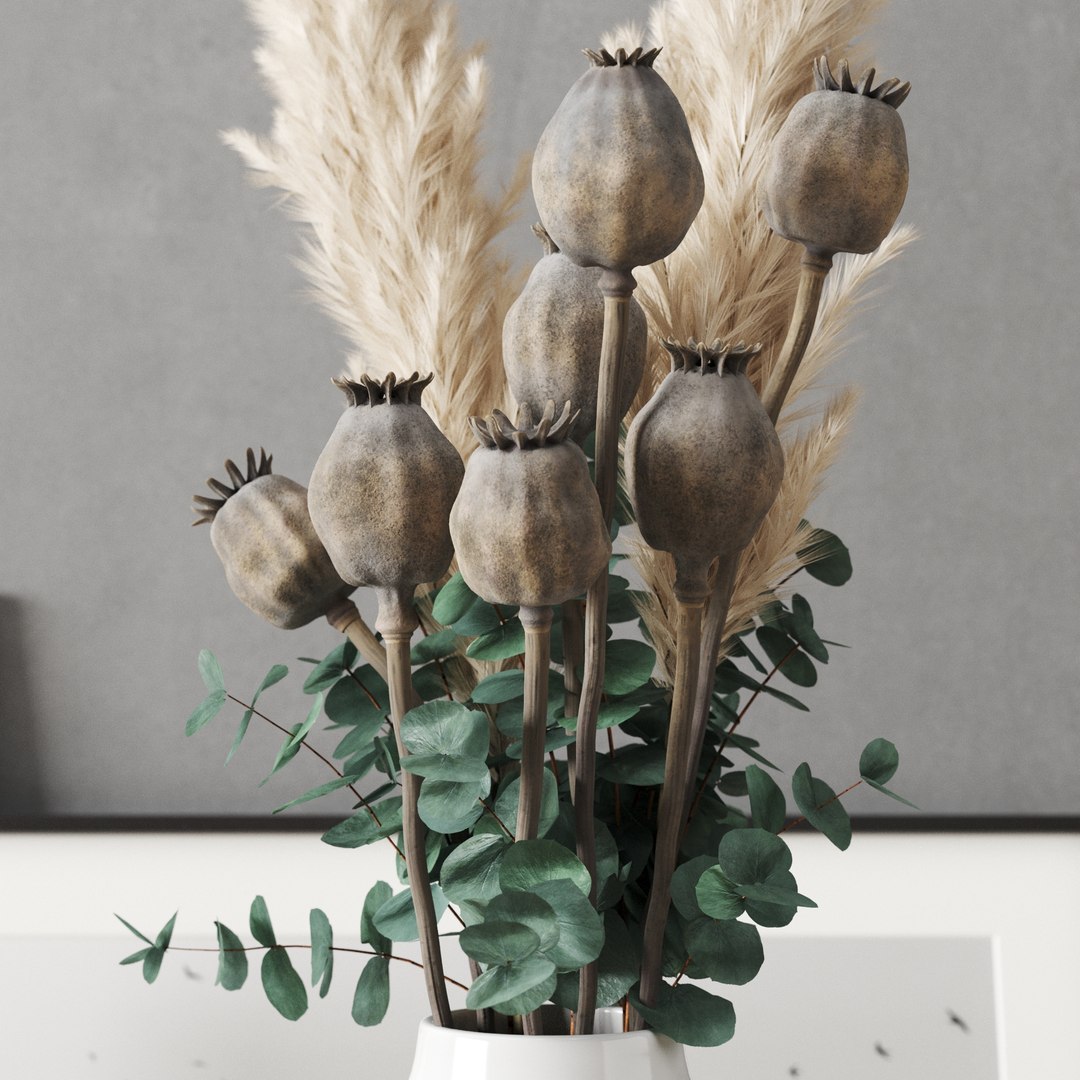 Poppy Dried Decor 3D Model - TurboSquid 1554026