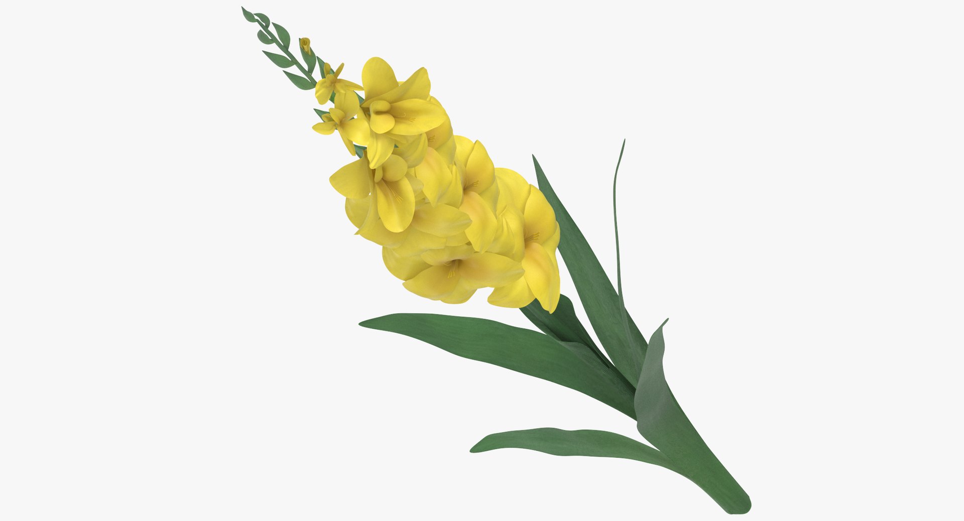 3D yellow - model - TurboSquid 1406673