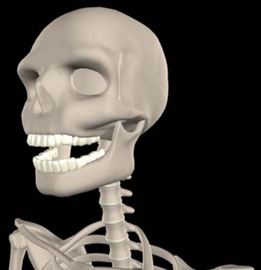 3ds max human skeleton scn