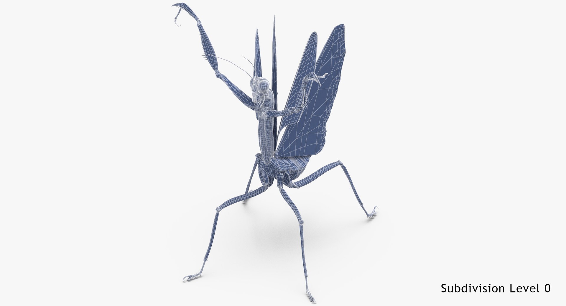 3D model praying mantis rigged - TurboSquid 1375525
