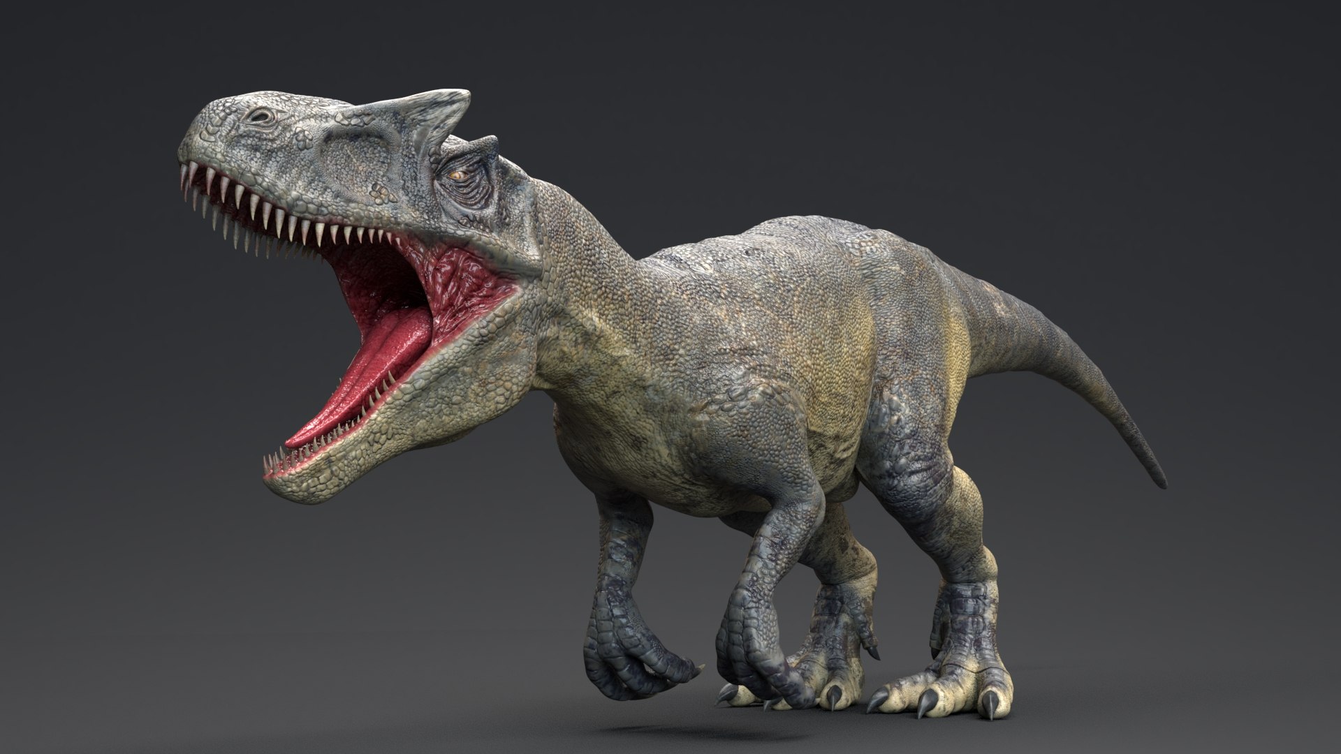 Allosaurus Real Dinosaur 74 Animations Model - TurboSquid 1893110