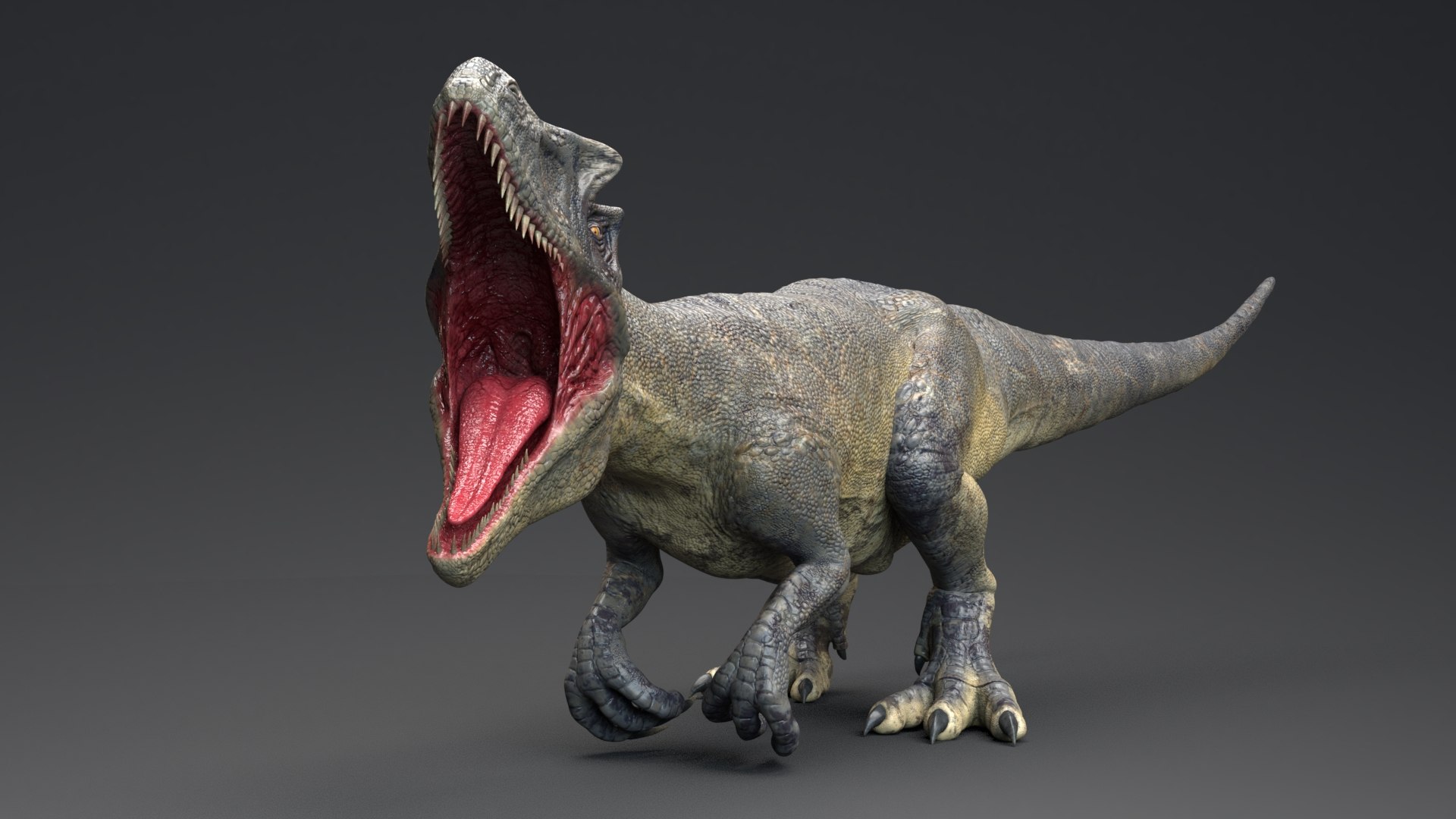 Allosaurus Real Dinosaur 74 Animations Model - TurboSquid 1893110