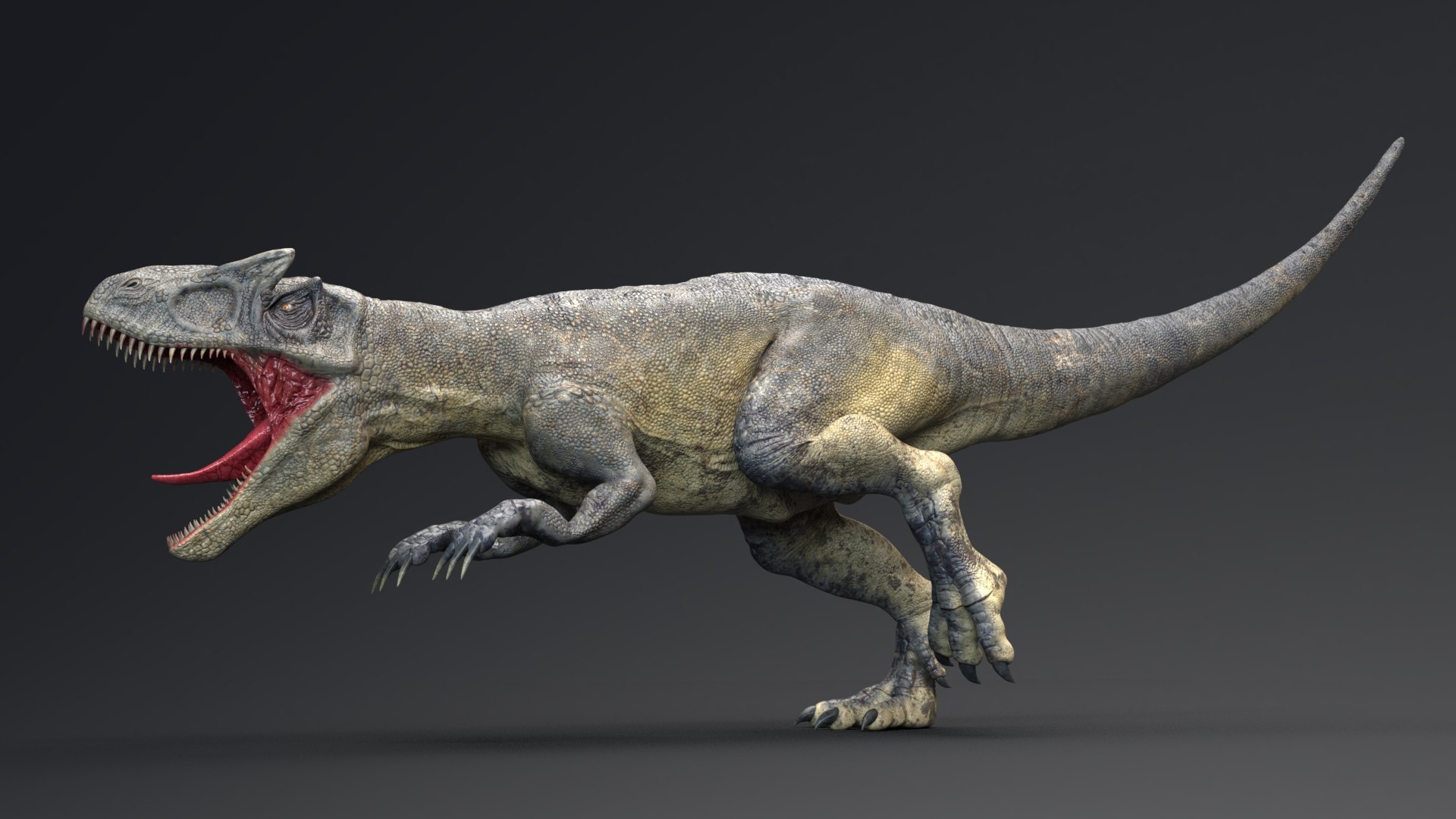 Allosaurus Real Dinosaur 74 Animations Model - TurboSquid 1893110