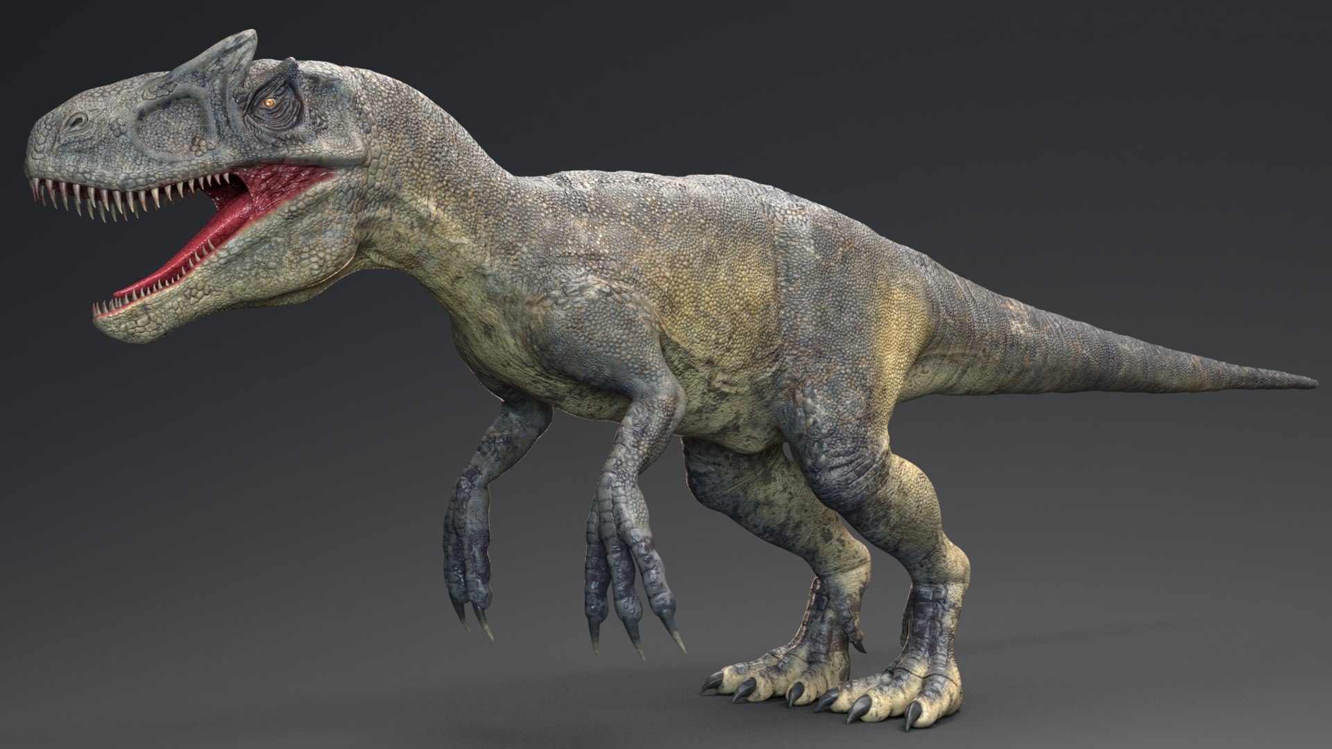 Allosaurus Real Dinosaur 74 Animations Model - TurboSquid 1893110