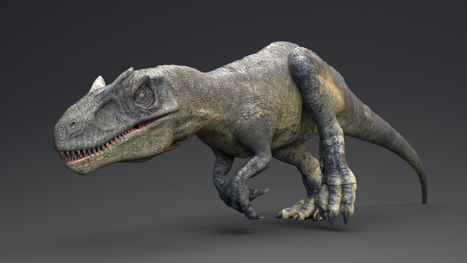 Allosaurus Real Dinosaur 74 Animations Model - TurboSquid 1893110