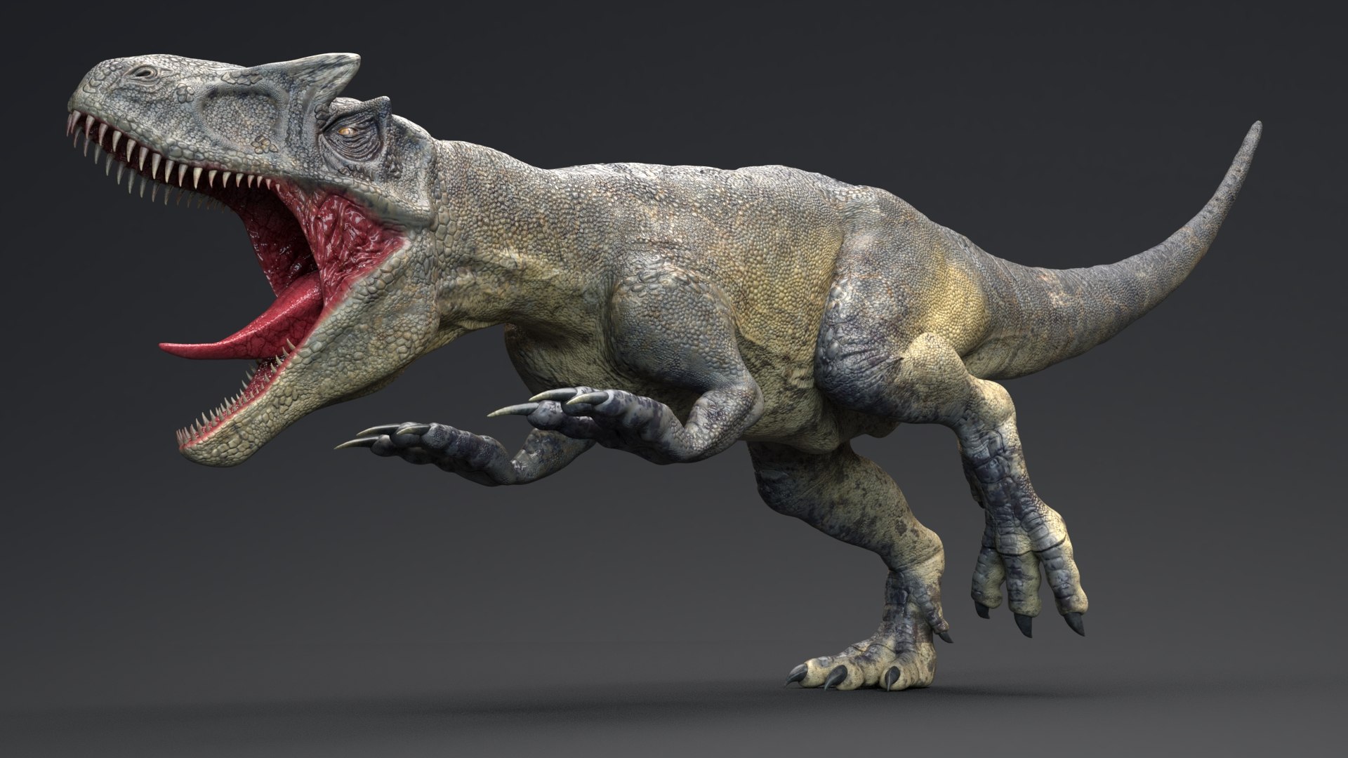Allosaurus Real Dinosaur 74 Animations Model - TurboSquid 1893110