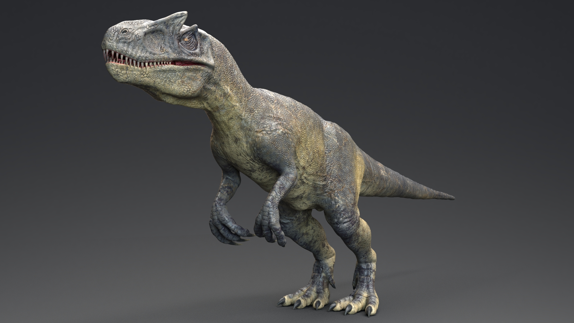 Allosaurus Real Dinosaur 74 Animations Model - TurboSquid 1893110