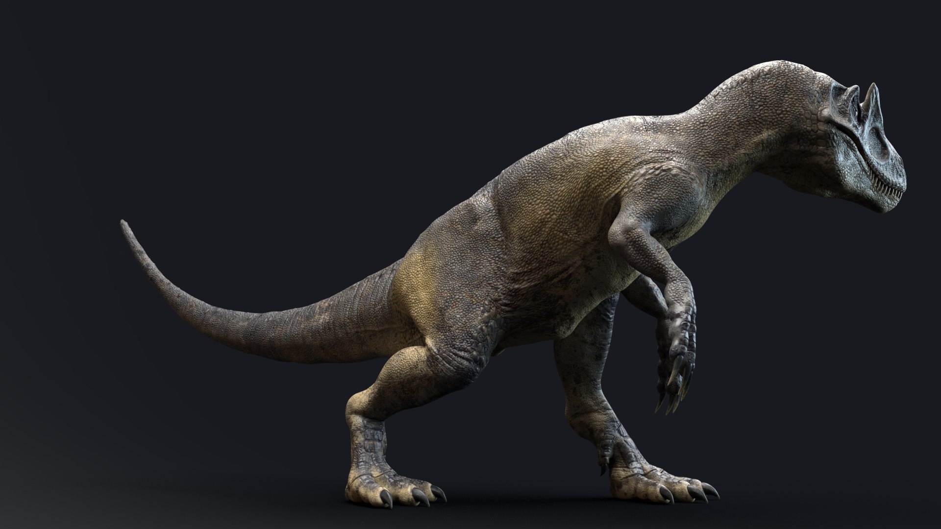 Allosaurus Real Dinosaur 74 Animations Model - TurboSquid 1893110