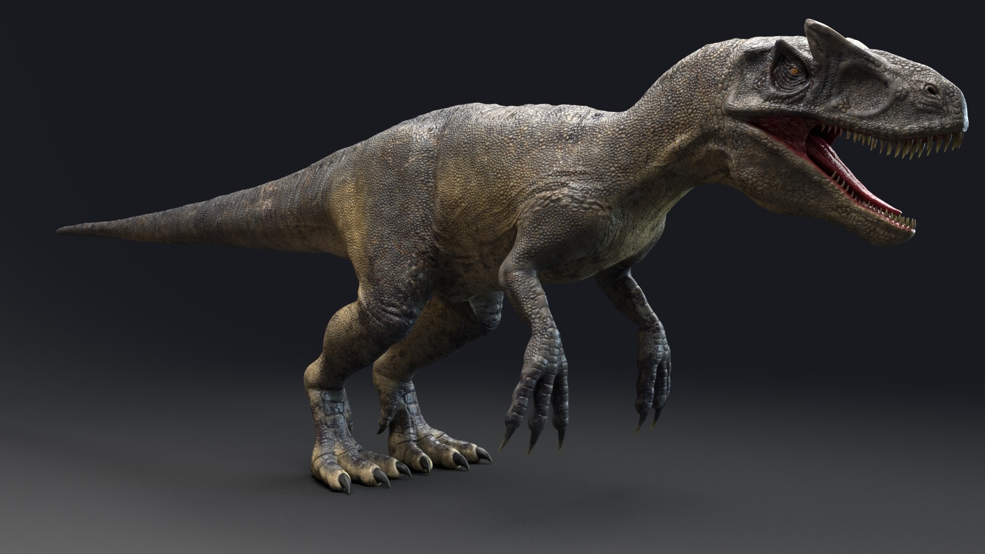 Allosaurus Real Dinosaur 74 Animations Model - TurboSquid 1893110