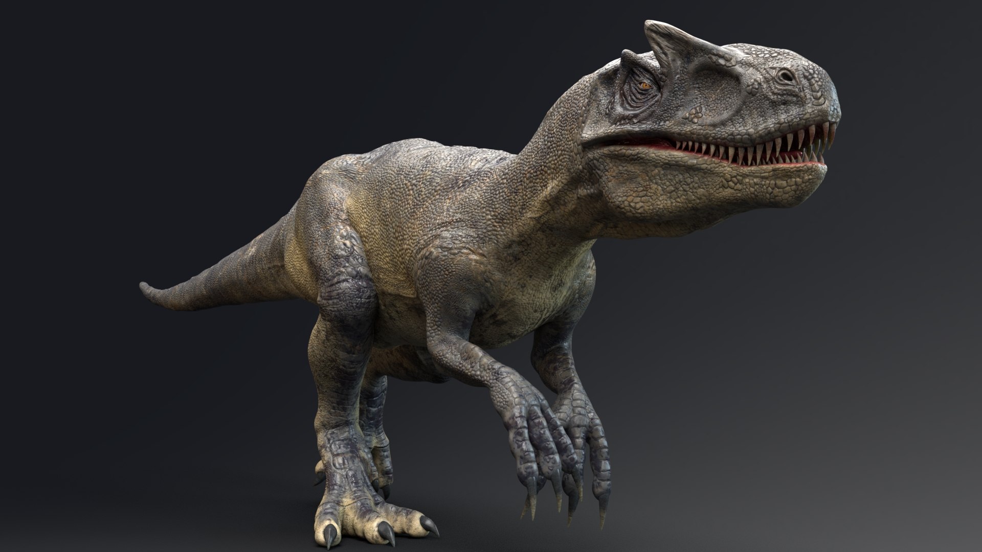 Allosaurus Real Dinosaur 74 Animations Model - TurboSquid 1893110