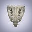 3d Sacrum Bone Model