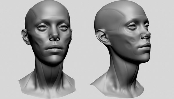 Free STL Head Models | TurboSquid