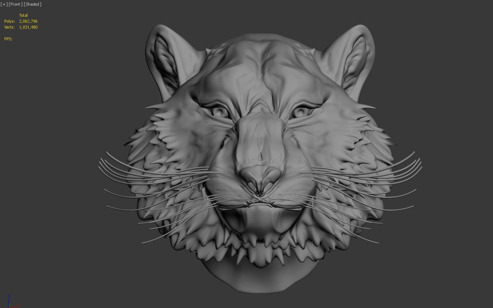 3D Animal Tiger - TurboSquid 1377713