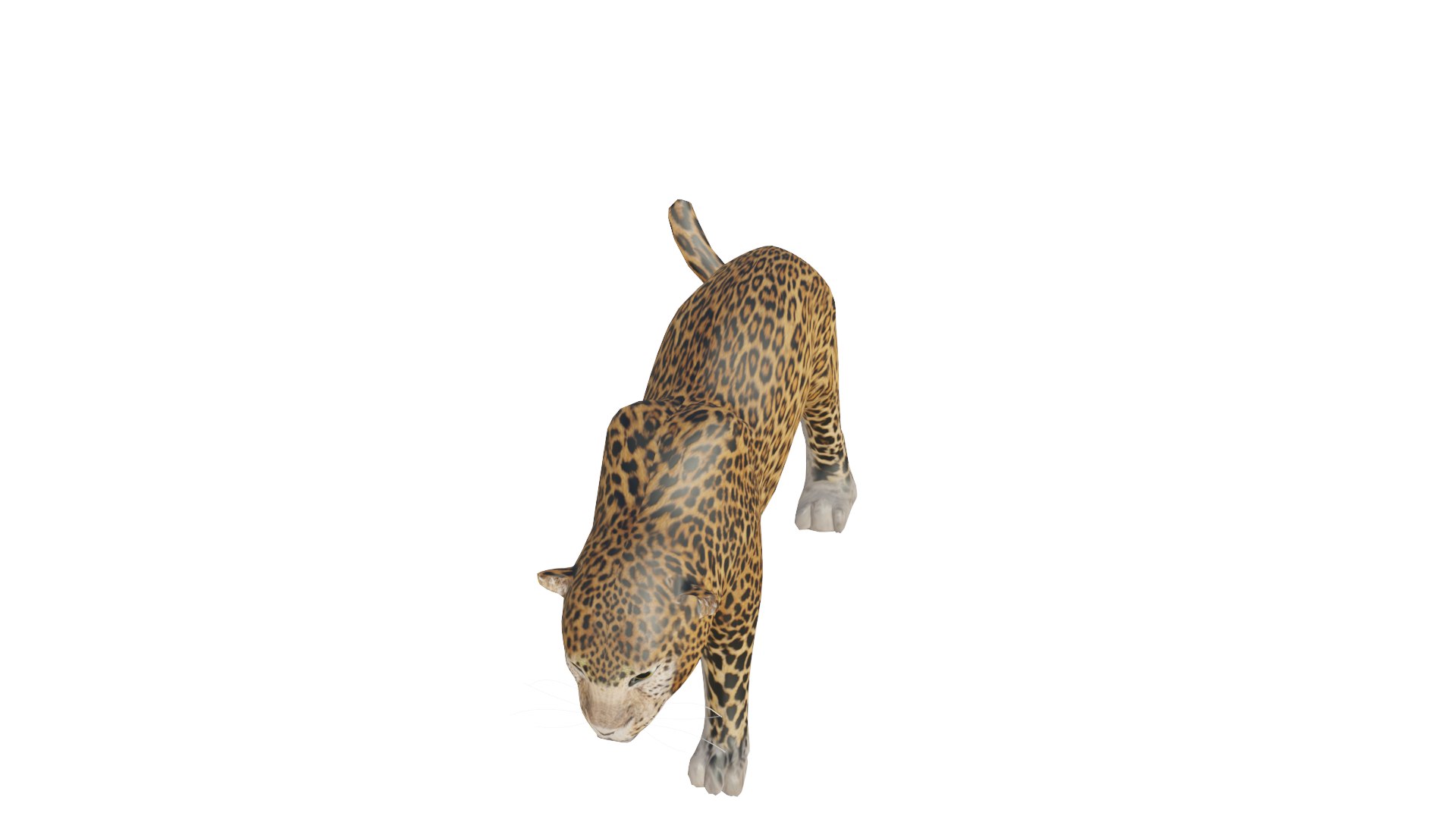 LEOPARD 3D Model - TurboSquid 1884768