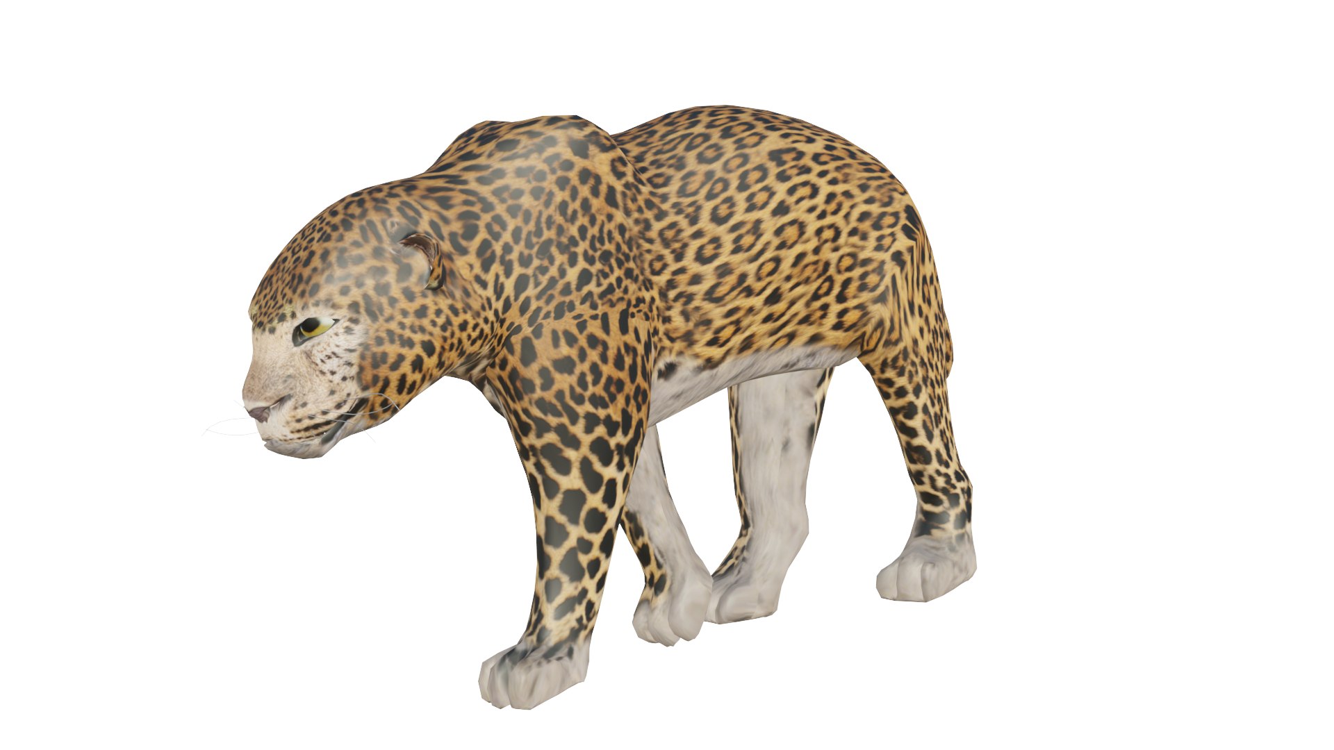 LEOPARD 3D Model - TurboSquid 1884768