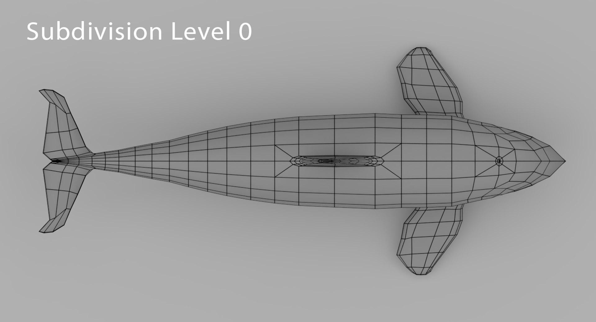 Killer Whale Model - TurboSquid 1255001