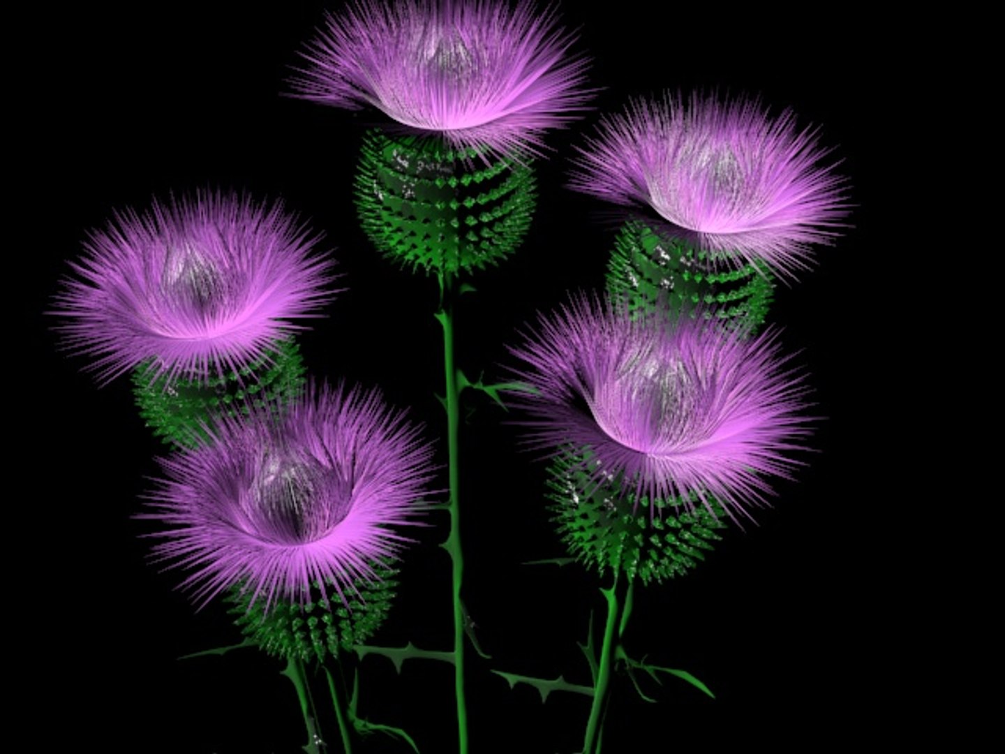 3d Thistle Flower Model