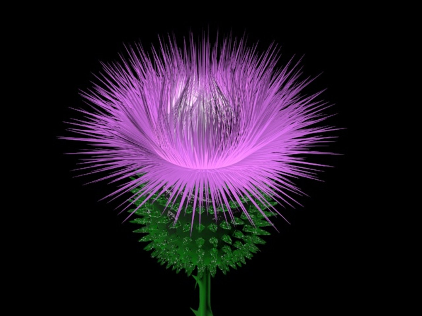 3d Thistle Flower Model