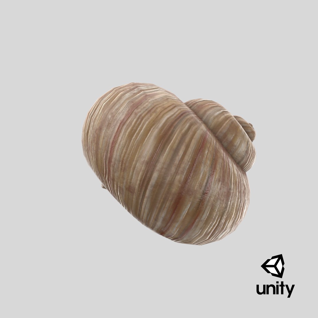 3D Snail Shell V1 model - TurboSquid 1968128