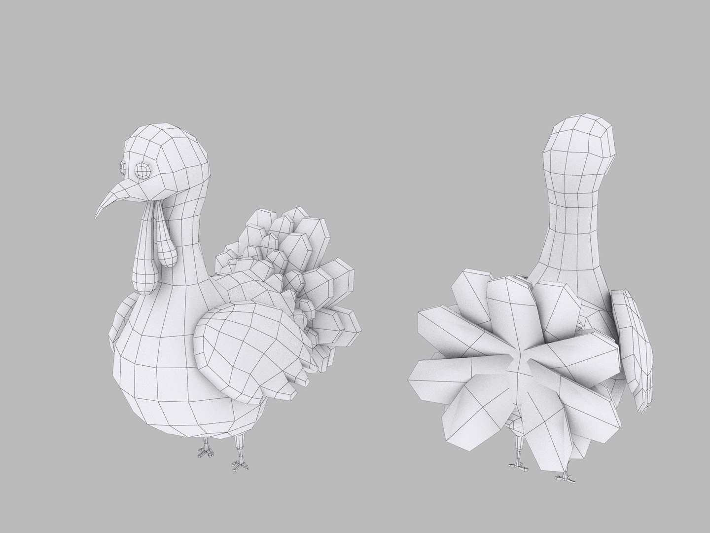 Turkey Bird 3D Model - TurboSquid 1343018