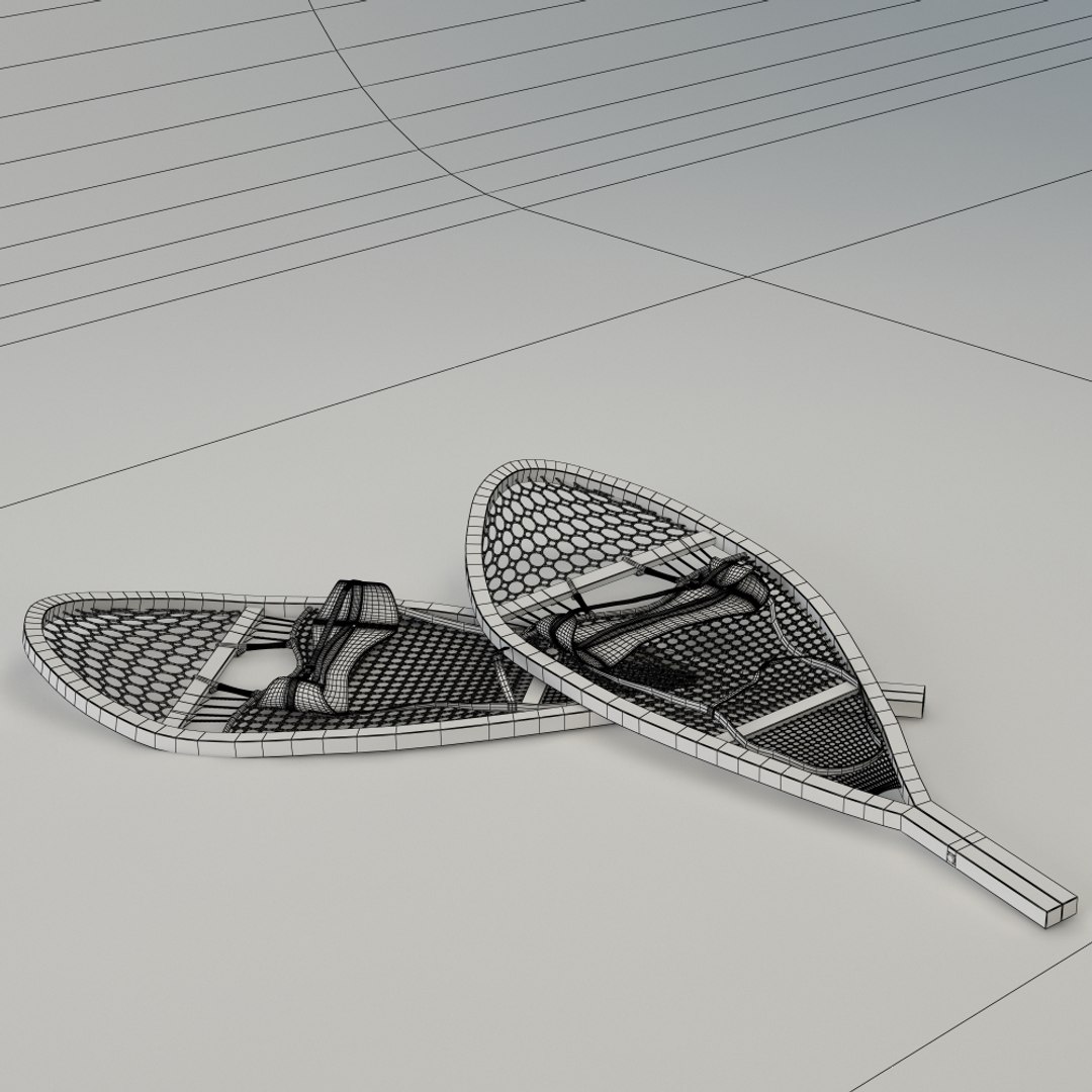 3d model snow shoes snowshoes