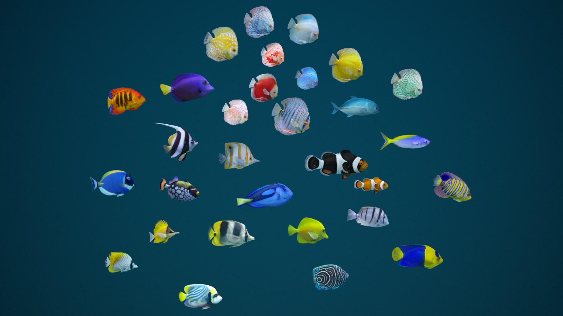 3D Tropical Fish Pack Rigged Animated Fishes Game Ready Aquarium Marine ...