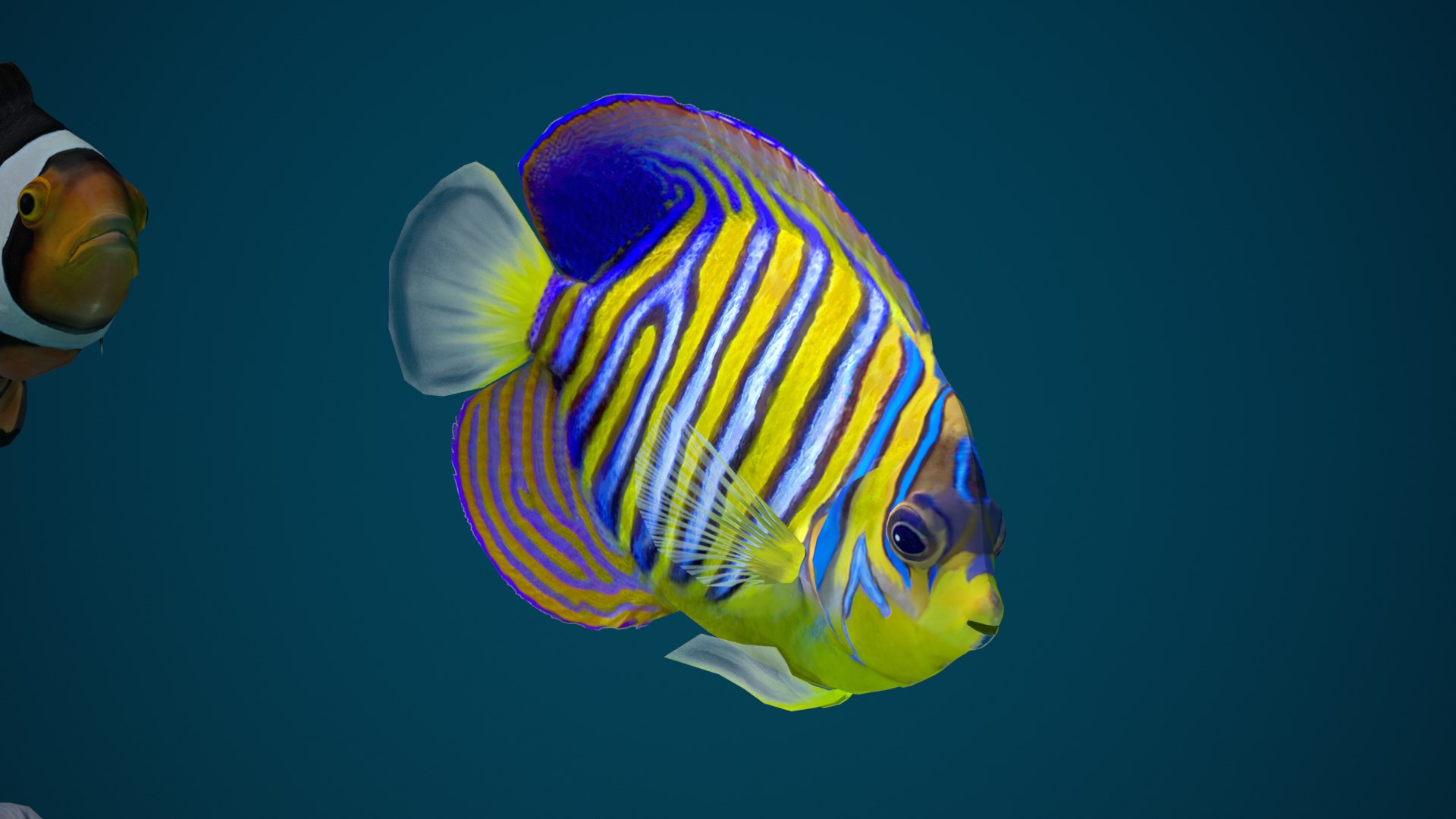 3D Tropical Fish Pack Rigged Animated Fishes Game Ready Aquarium Marine ...