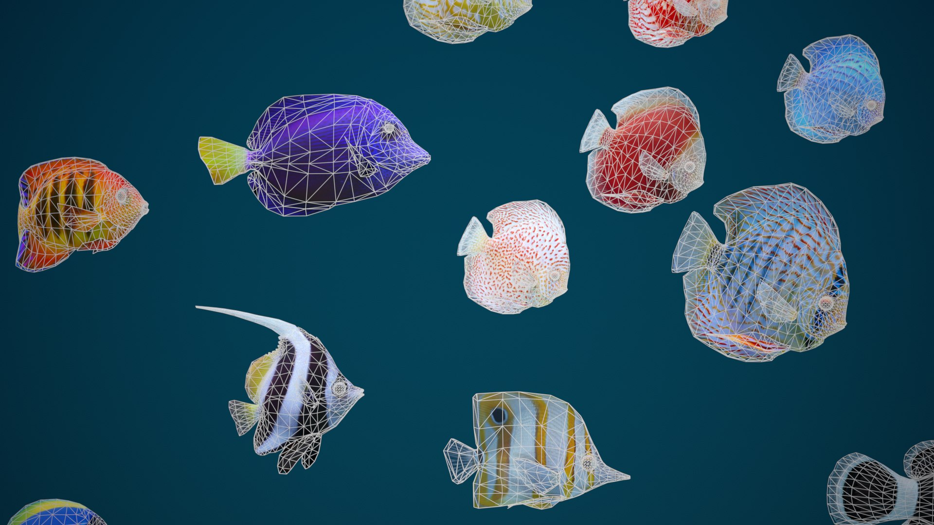 3D Tropical Fish Pack Rigged Animated Fishes Game Ready Aquarium Marine ...