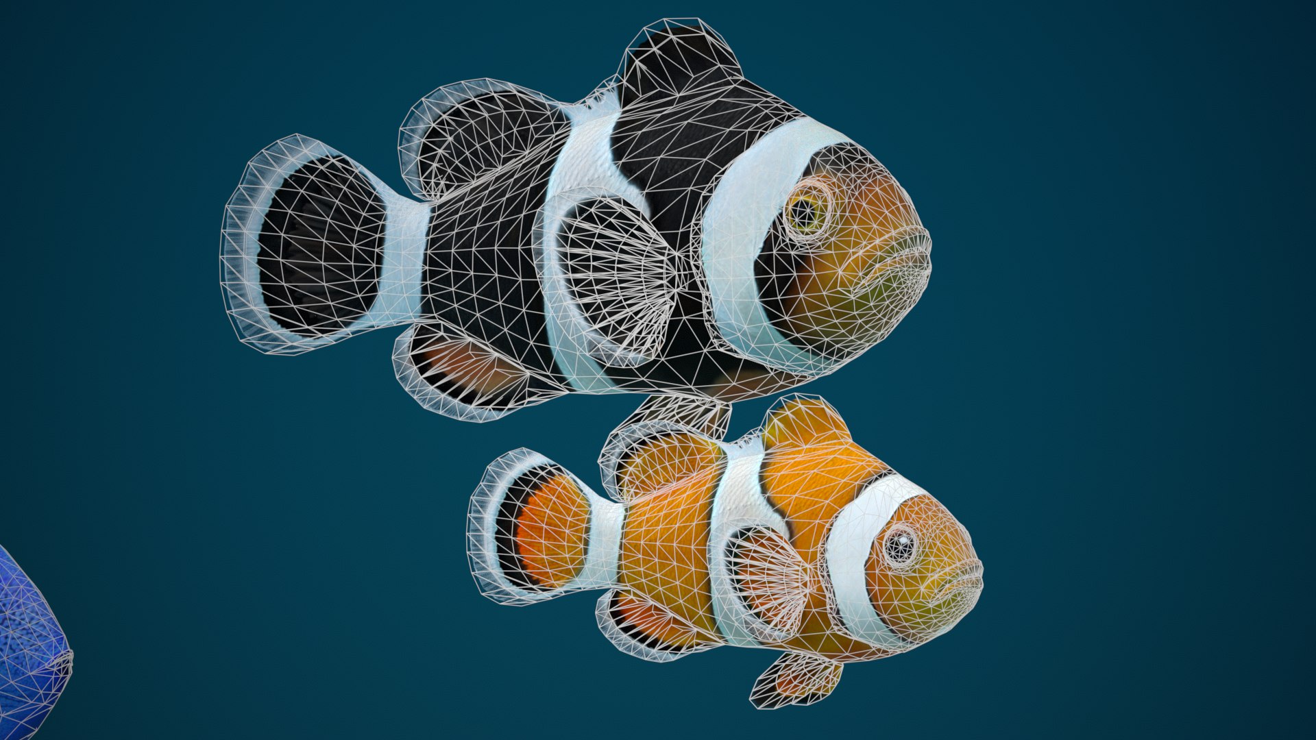 3D Tropical Fish Pack Rigged Animated Fishes Game Ready Aquarium Marine ...