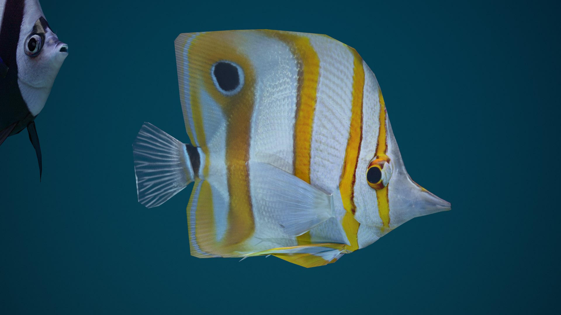 3D Tropical Fish Pack Rigged Animated Fishes Game Ready Aquarium Marine ...