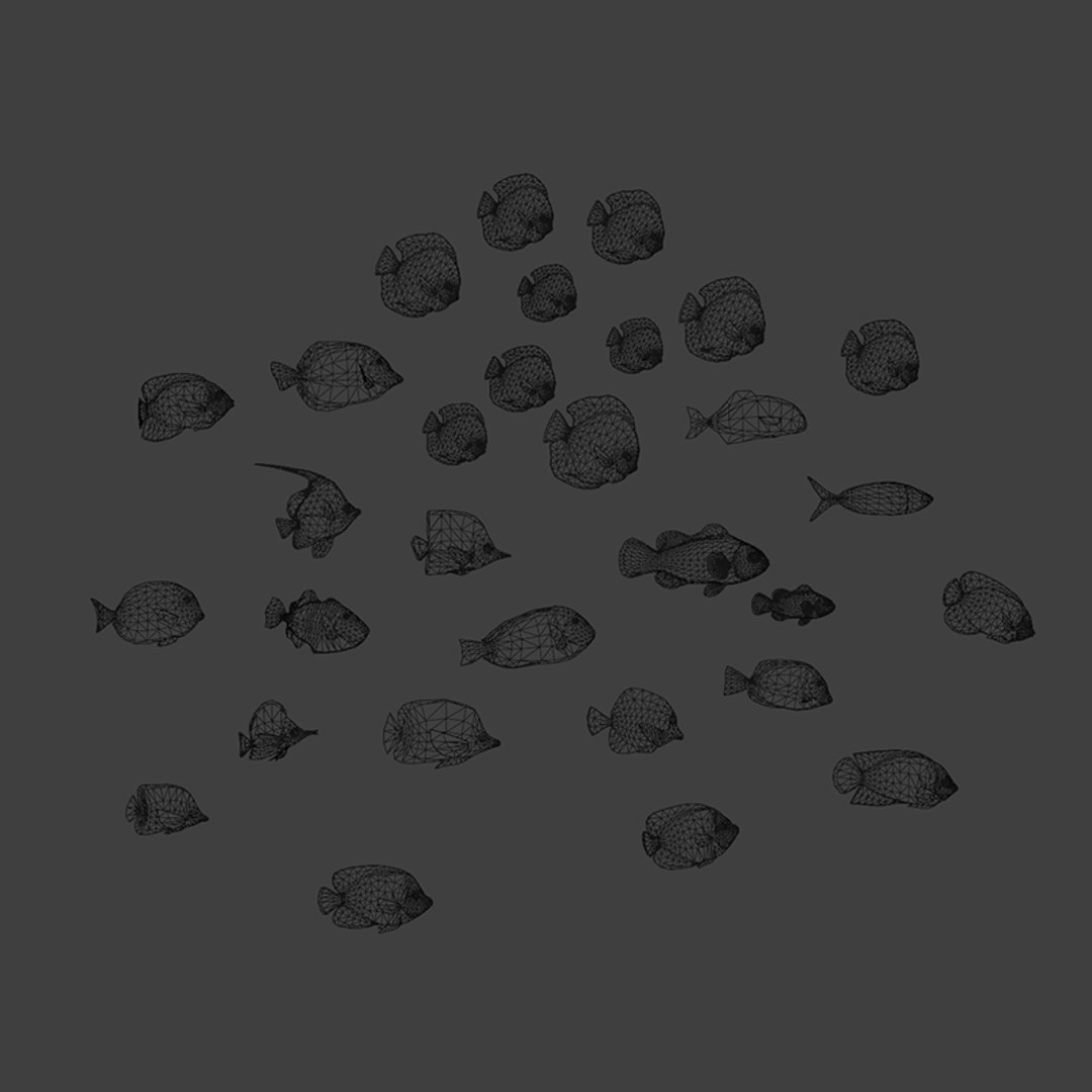 3D Tropical Fish Pack Rigged Animated Fishes Game Ready Aquarium Marine ...